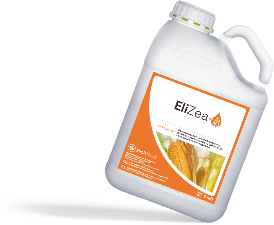 🌽 EliZea : Намалява отрицателните въздействия от засушаване при ...