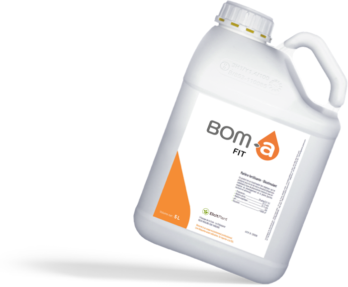 🌽Boma Fit : Limitador de estresse hídrico para milho - Elicit Plant