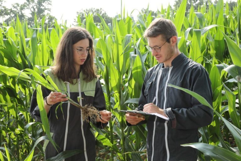 Our Scientific Partners - Elicit Plant