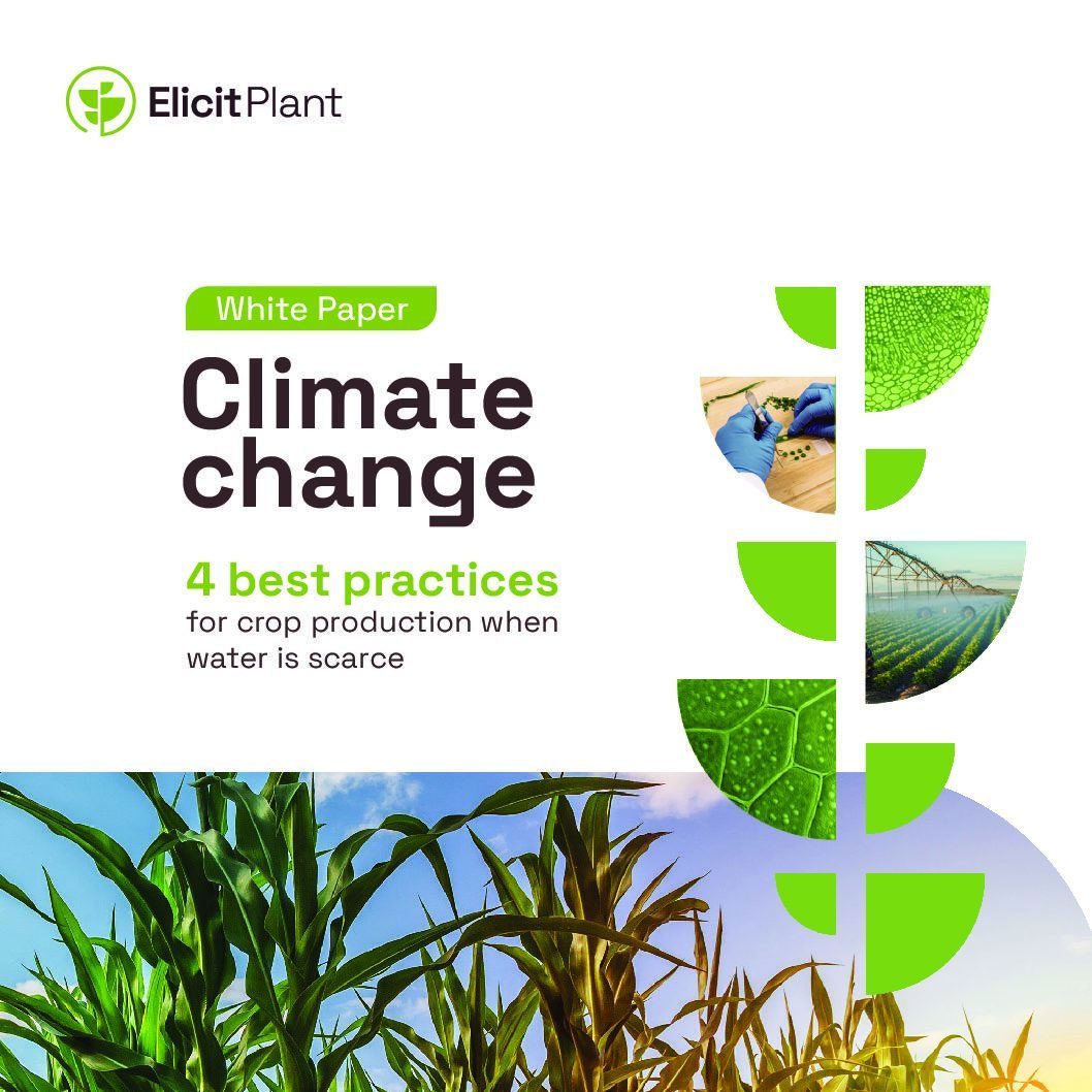 Best Practices to Address Water Scarcity in Agriculture - Elicit Plant